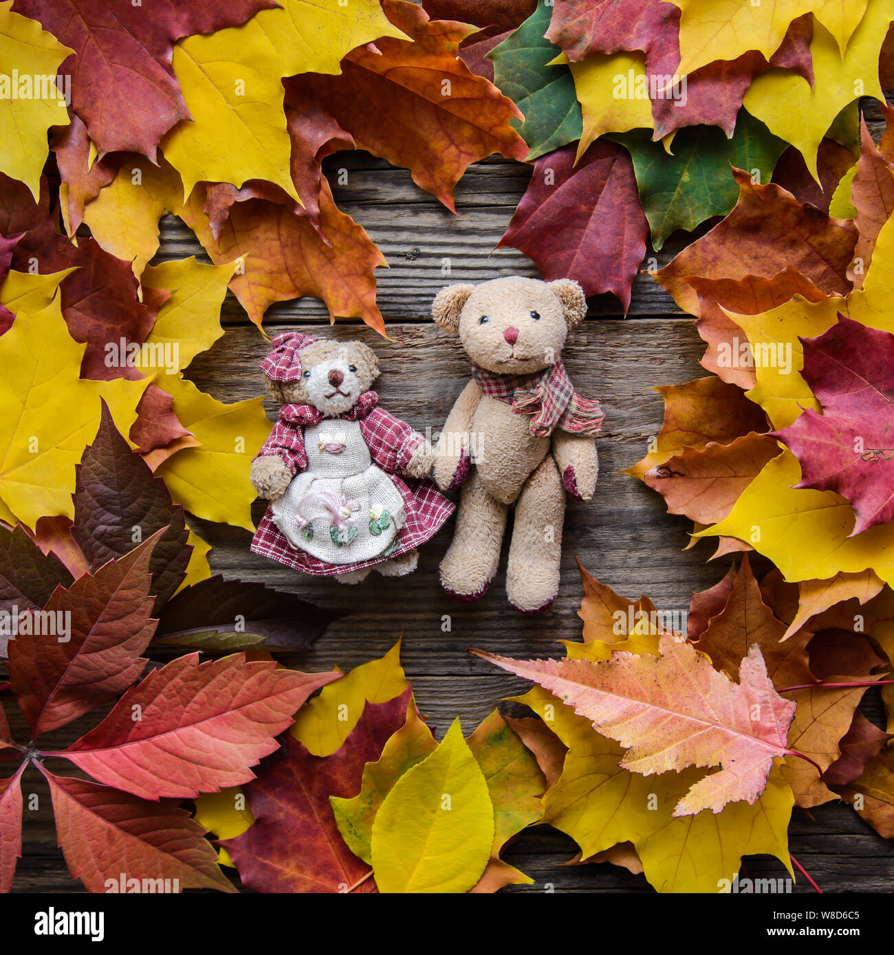 Teddy bear autumn hi-res stock photography and images - Alamy
