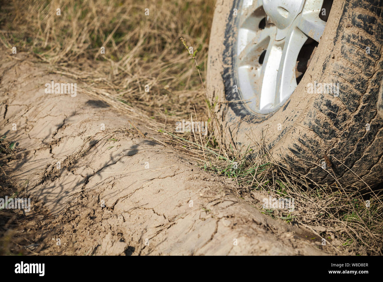 Dirty car wheel is on wet rural roadside with grass, close up photo ...