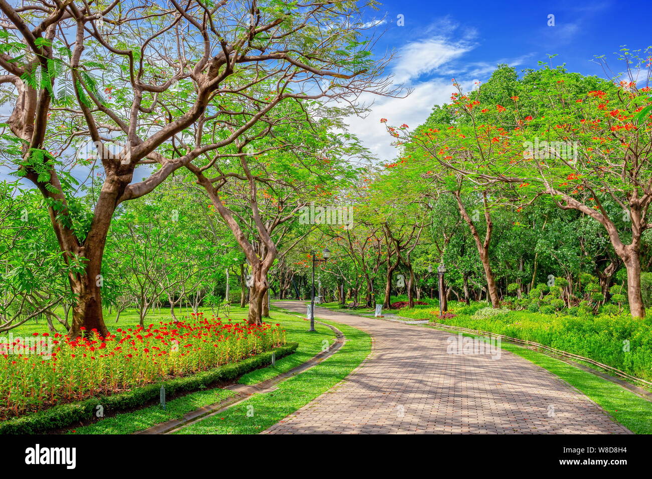 The path is laid out with a stone pavement in a beautiful green park ...