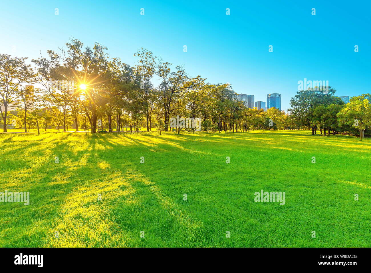 Beautiful garden in daytime outdoor nature background Stock Photo - Alamy