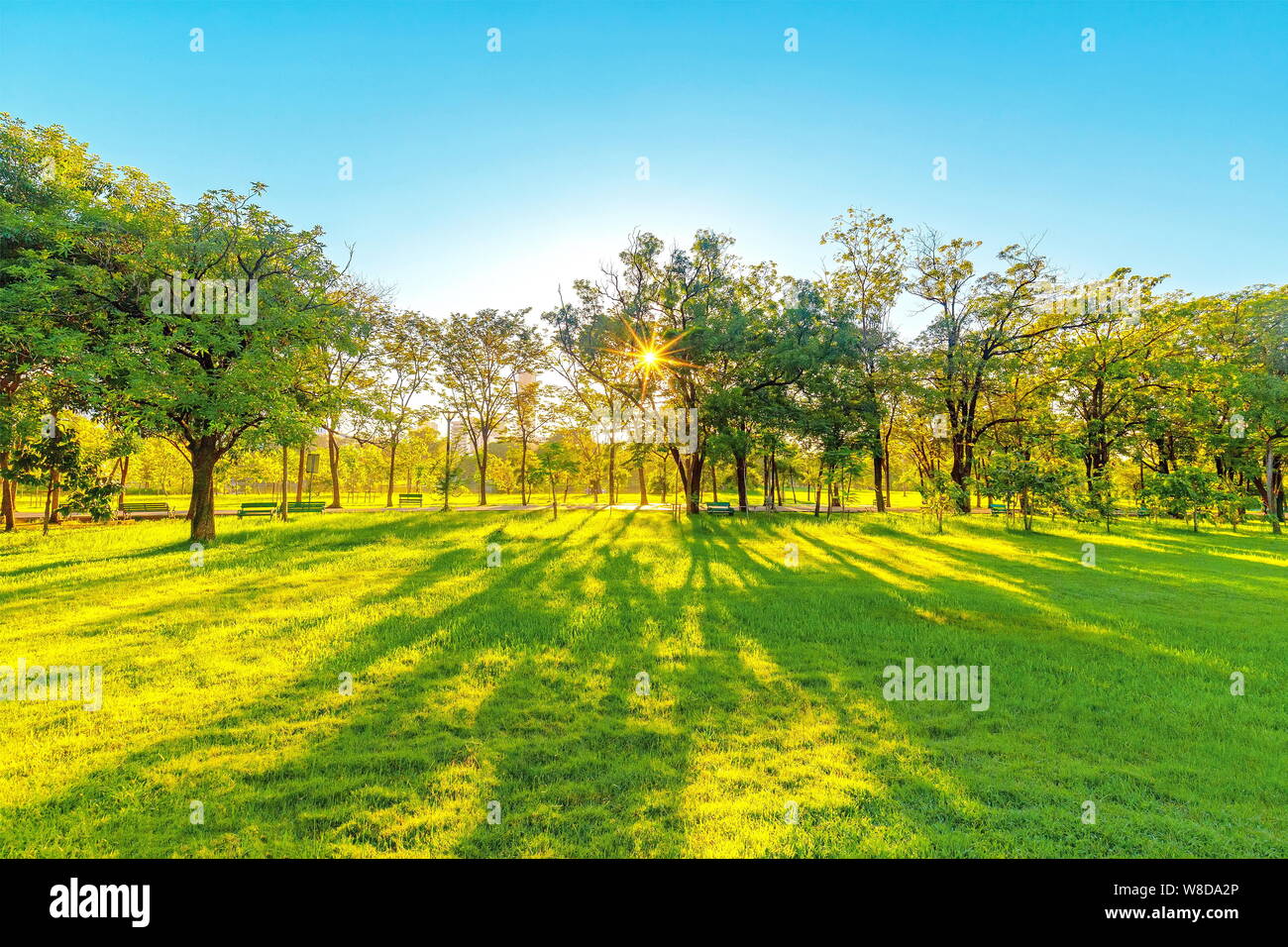 Beautiful garden in daytime outdoor nature background Stock Photo - Alamy