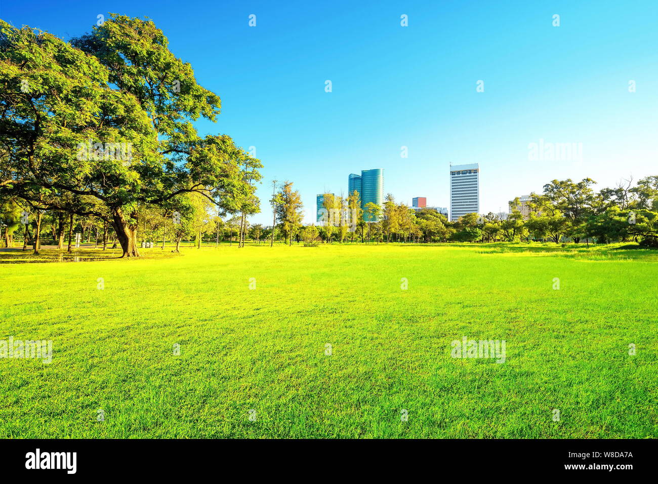 Beautiful garden in daytime outdoor nature background Stock Photo - Alamy