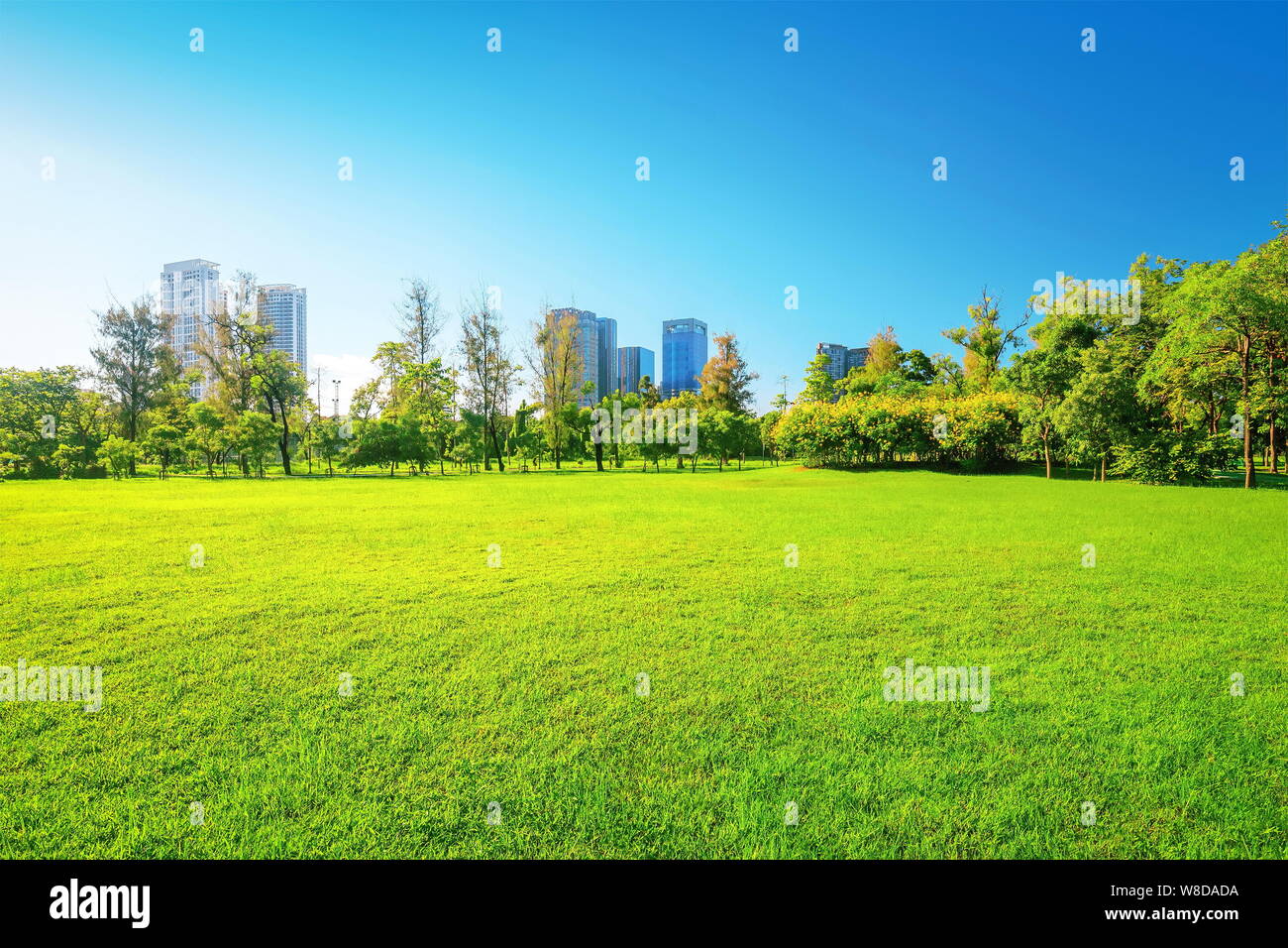 Beautiful garden in daytime outdoor nature background Stock Photo - Alamy