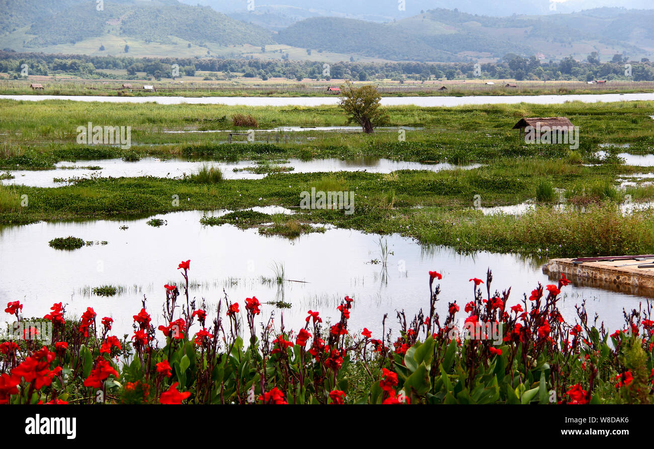 Schnormeier gardens hi-res stock photography and images - Alamy