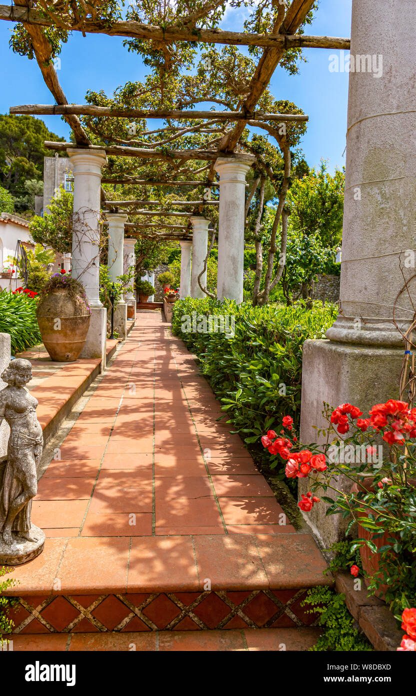 Italy, Capri, plants and flowers in the typical streets Stock Photo - Alamy