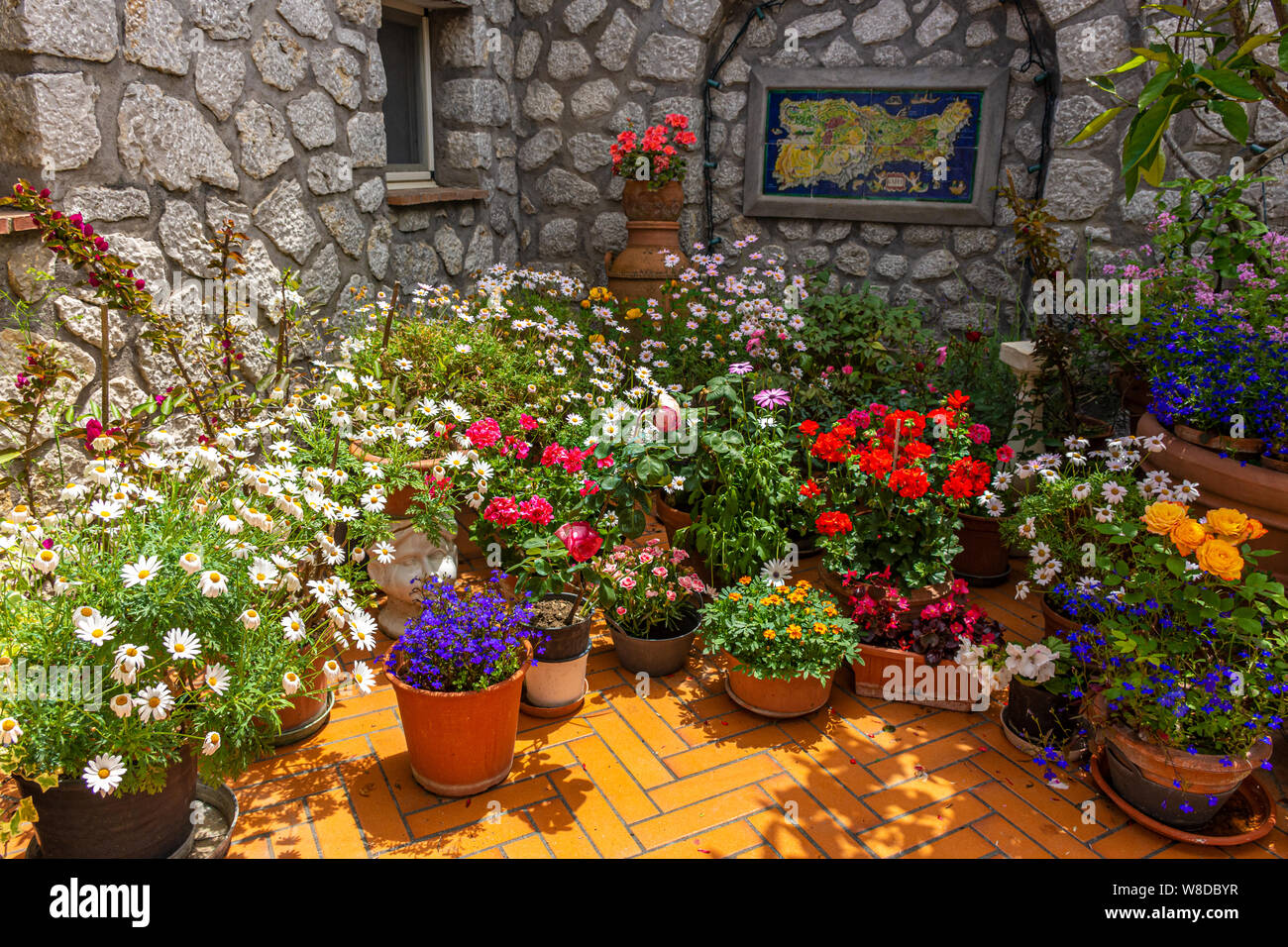 Italy, Capri, plants and flowers in the typical streets Stock Photo - Alamy