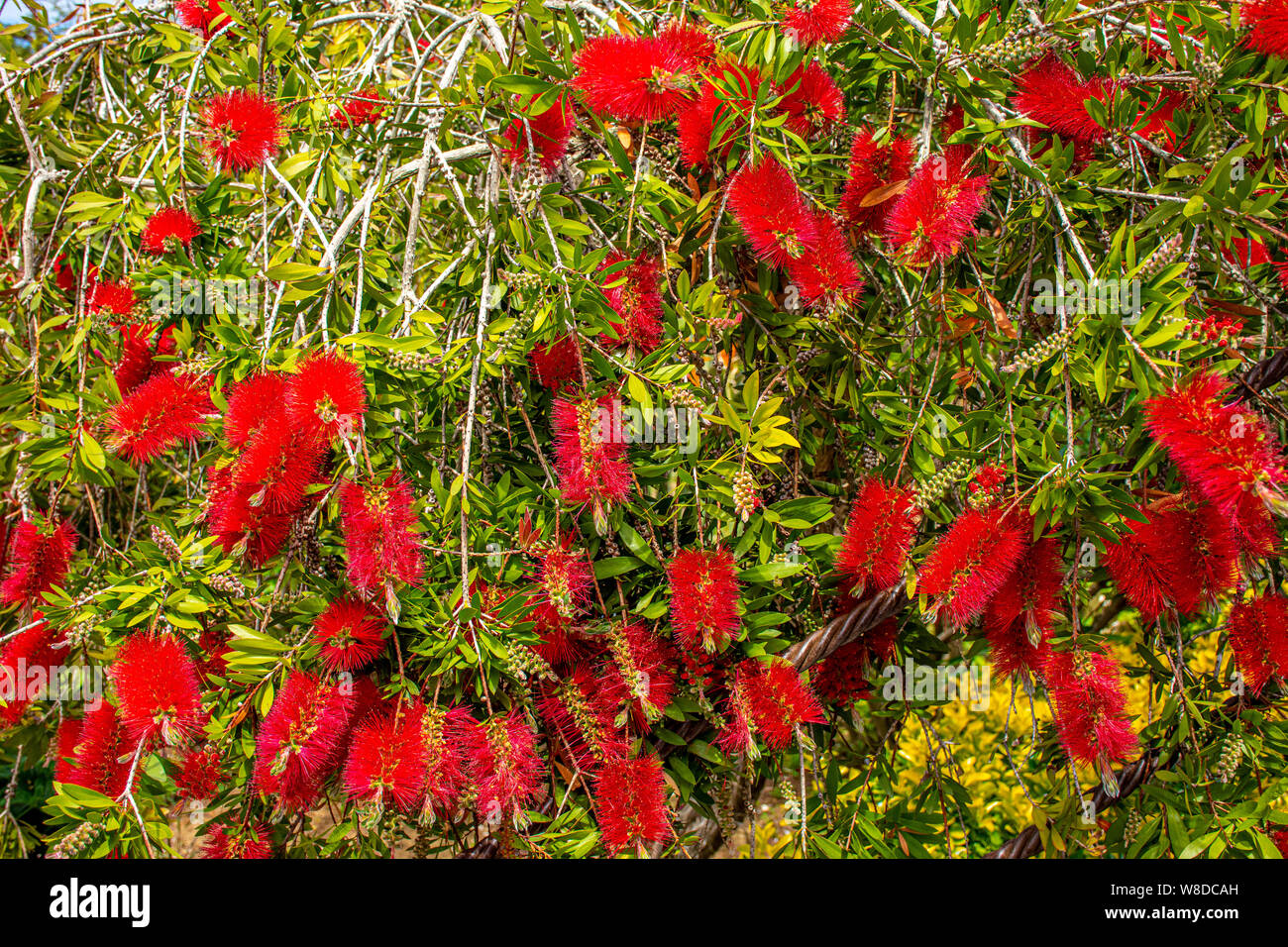 The charterhouse gardens hi-res stock photography and images - Alamy
