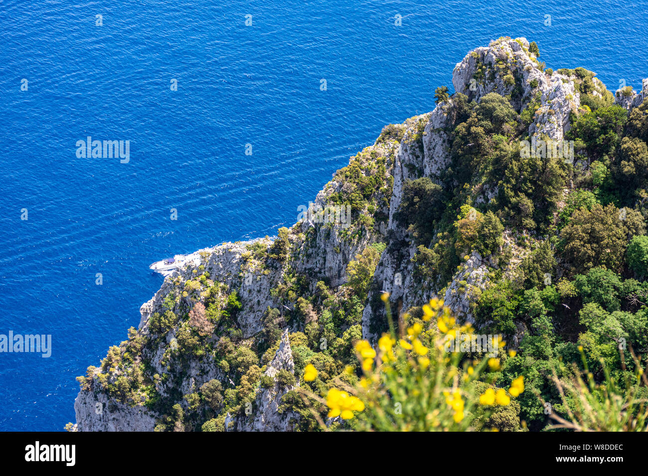 Italy, Capri, view of the splendid blue sea from the top of the island ...