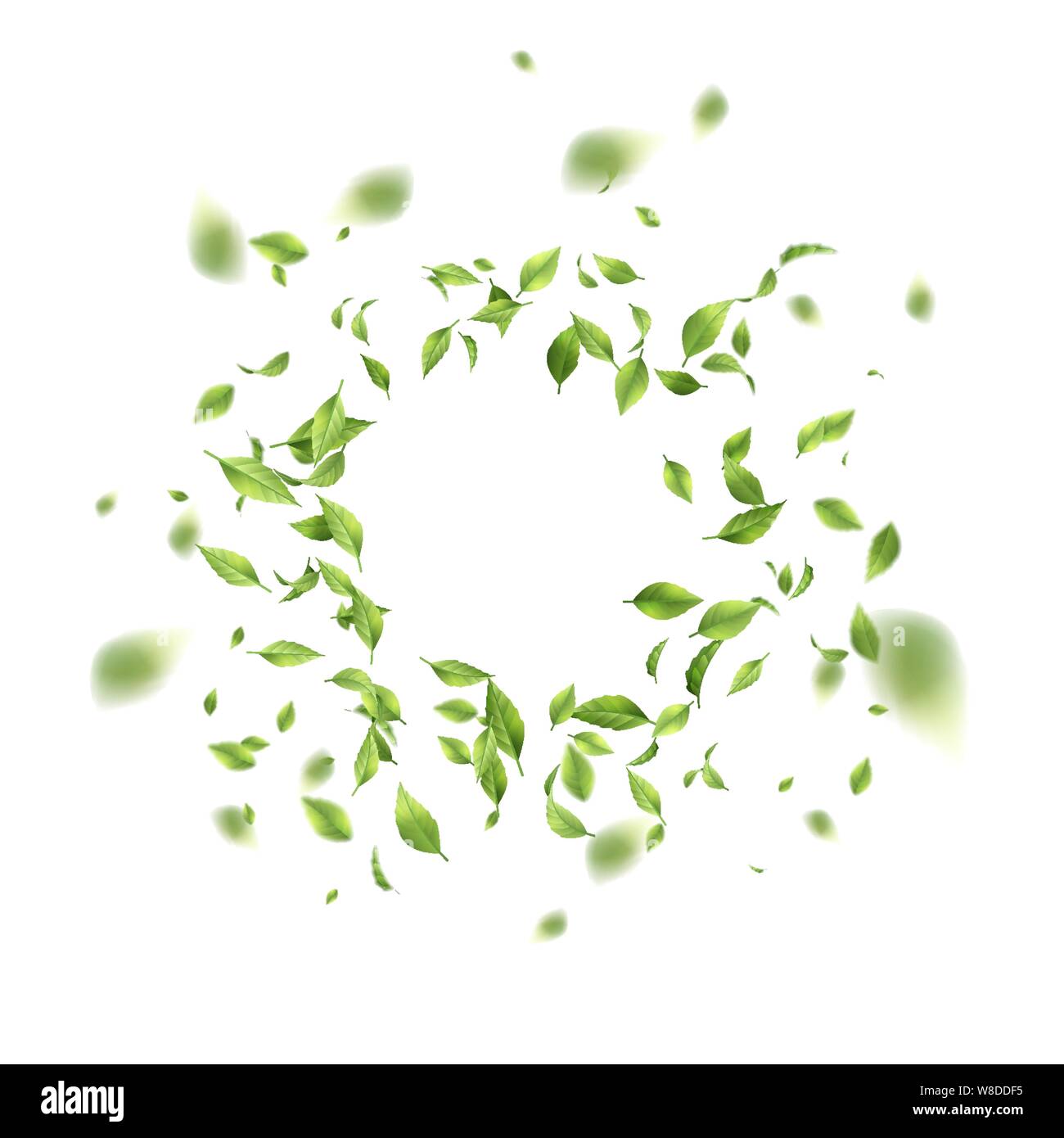 Green Flying Leaves Stock Vector Image & Art - Alamy