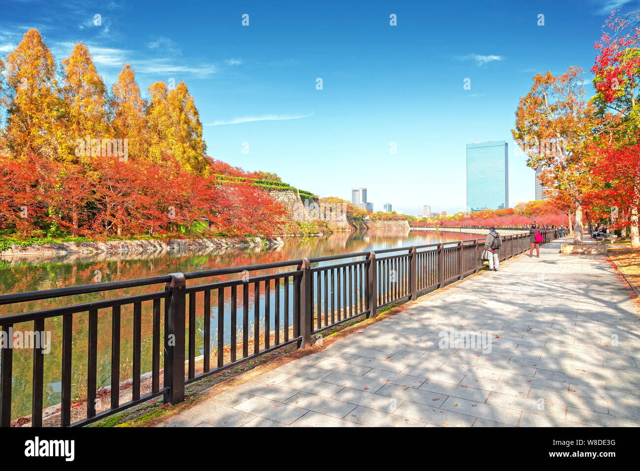Osaka, Japan - 21 Nov 2018 - The autumn-colored park in Citizen's ...