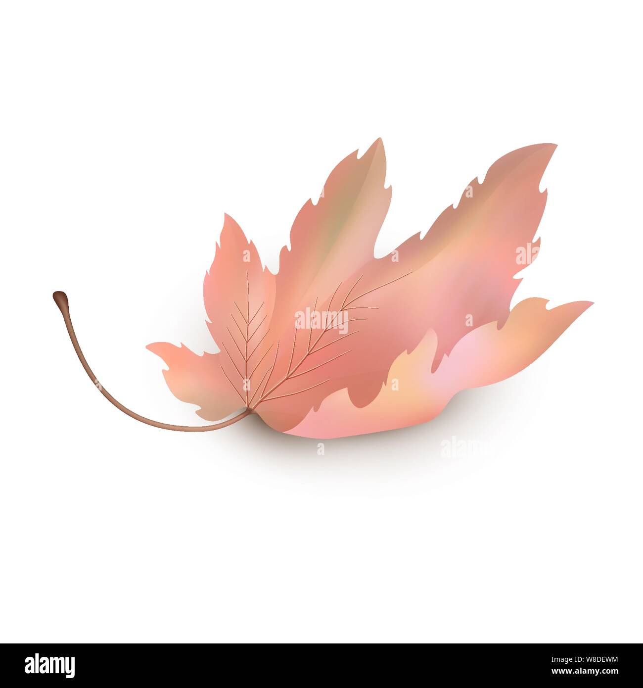 Vector Maple Leaf Stock Vector Image & Art - Alamy