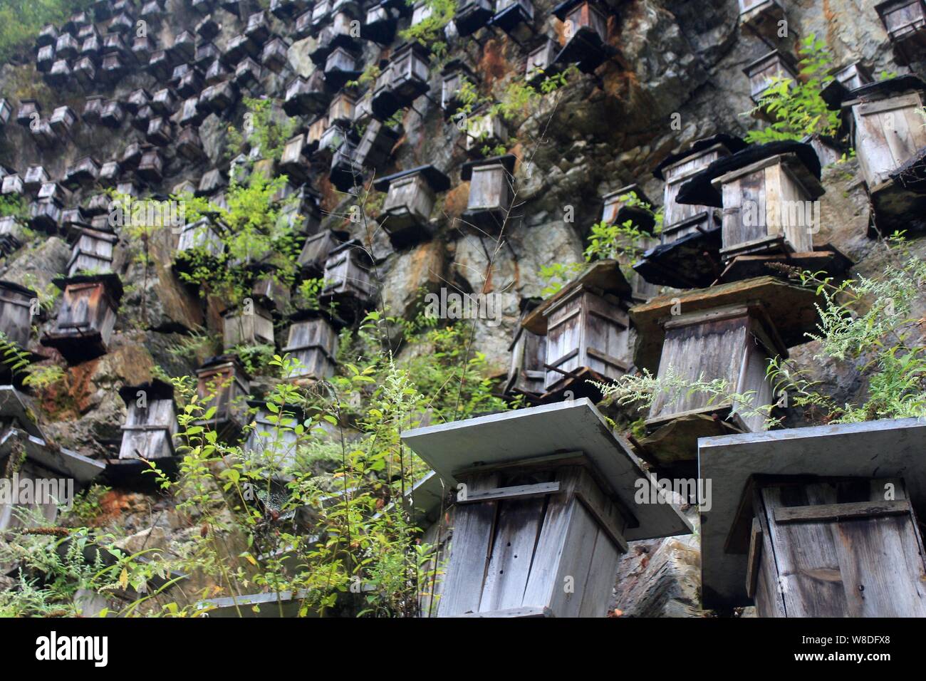 View of wooden hives on the cliff of a mountain in Guanmen Mountain ...