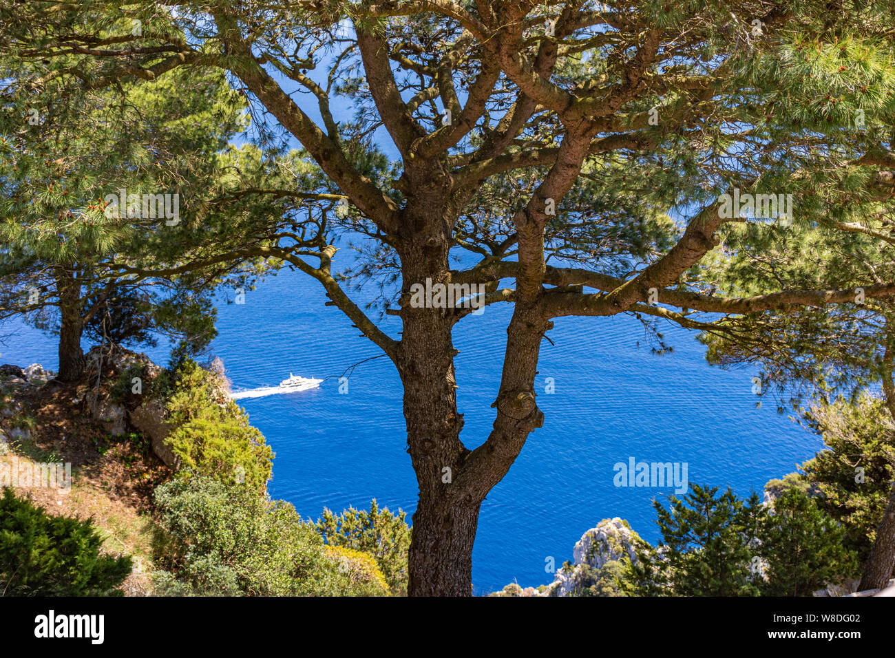 Italy, Capri, panorama from the top of the island Stock Photo - Alamy