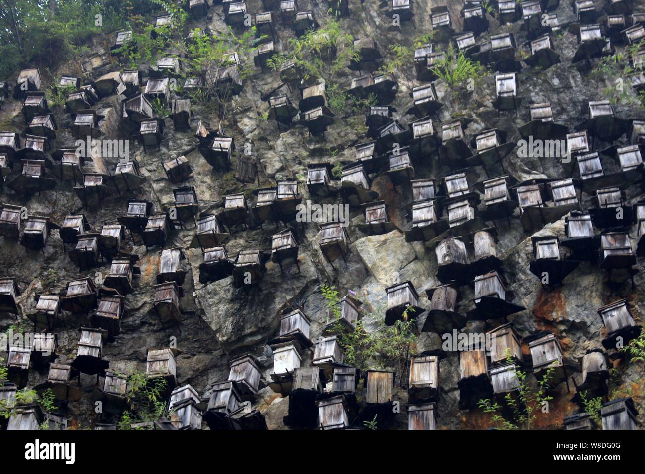 View of wooden hives on the cliff of a mountain in Guanmen Mountain ...