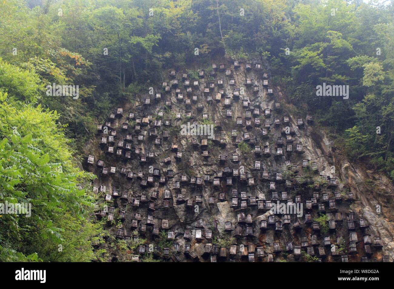 View of wooden hives on the cliff of a mountain in Guanmen Mountain ...