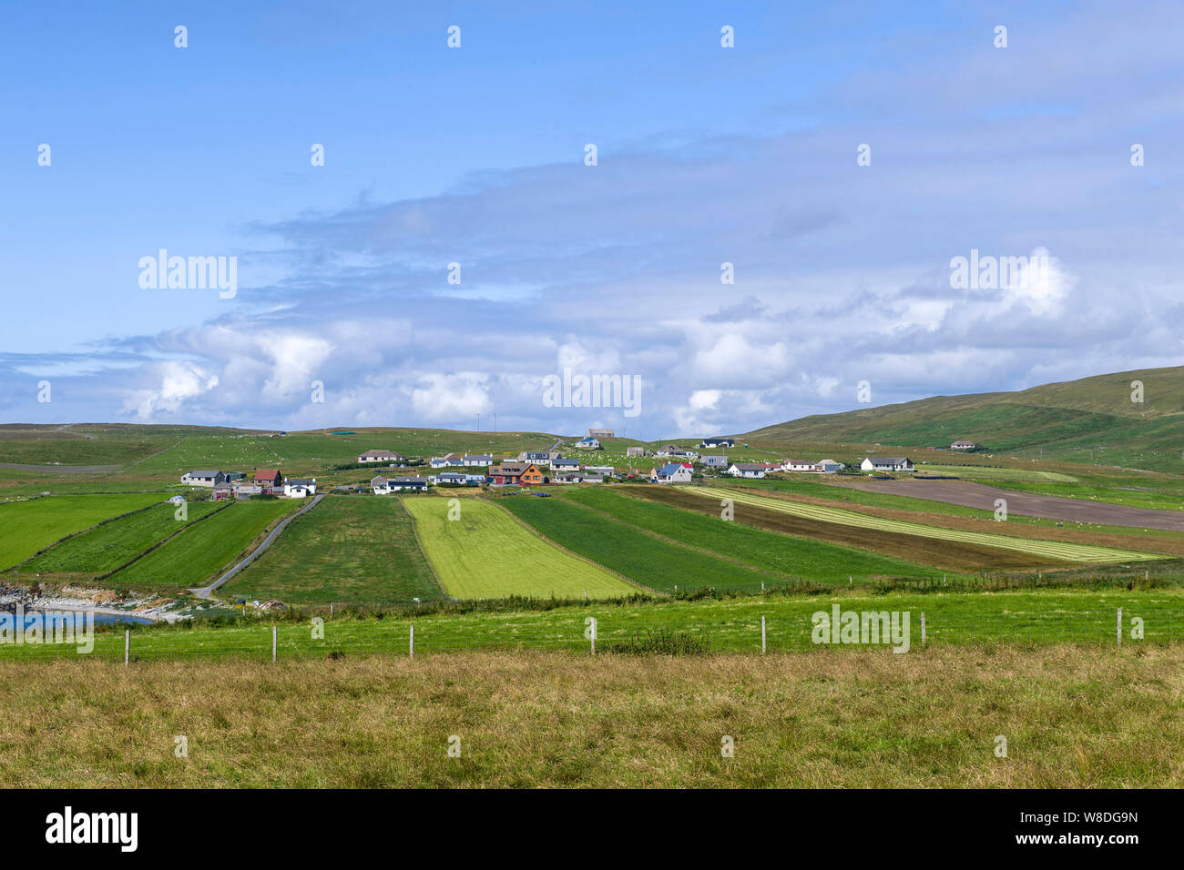 Farmed fields in Ireland, Bigton, Shetland—rolling green pastures and ...