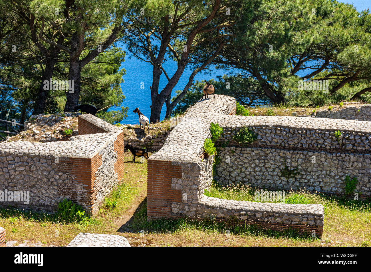 Italy, Capri, view and details of the archaeological remains of the ...