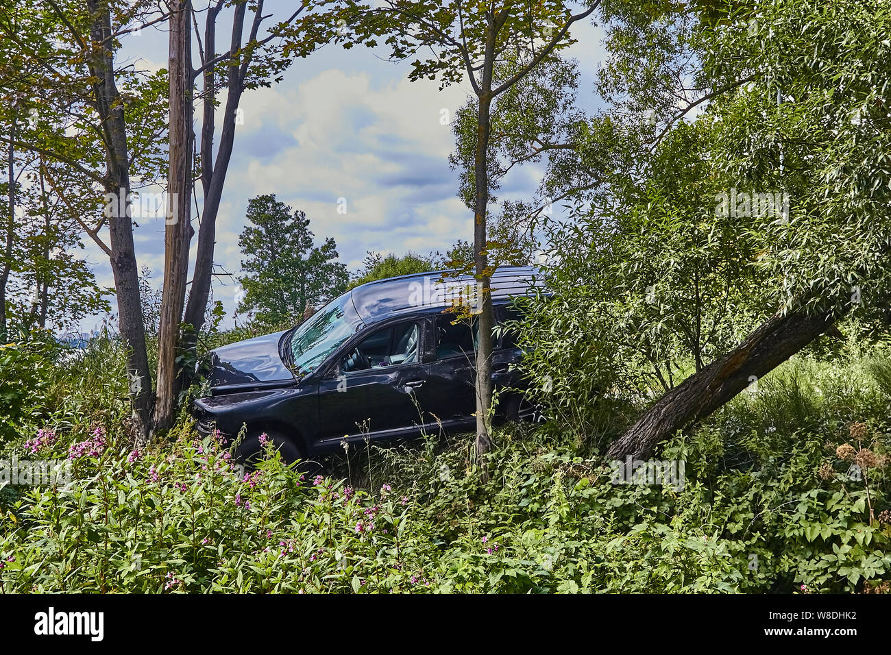 Crossover collision with tree at the scene of an accident on a road ...