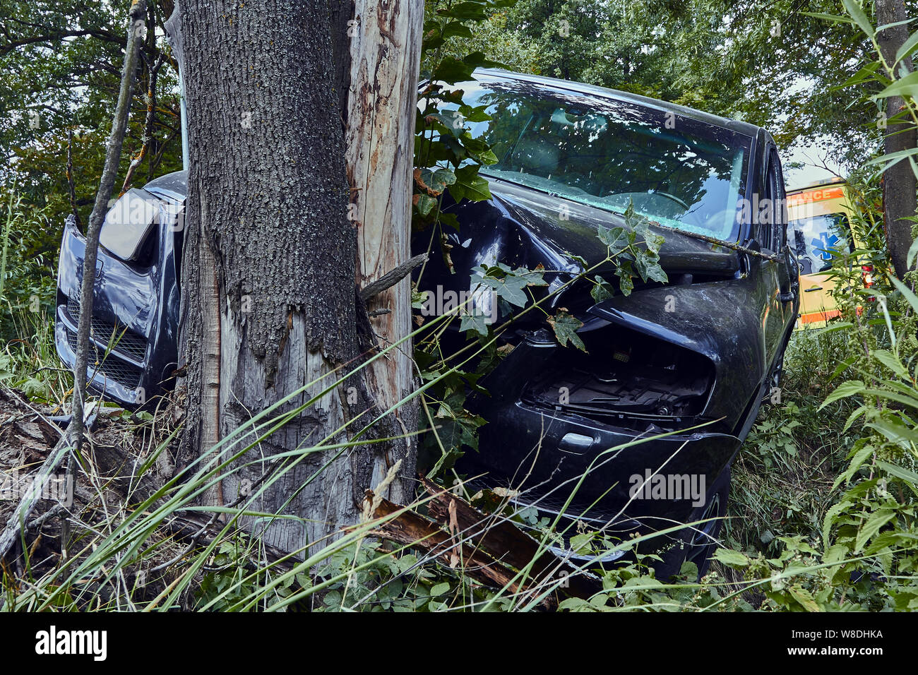 Road accident car crash tree hi-res stock photography and images - Alamy