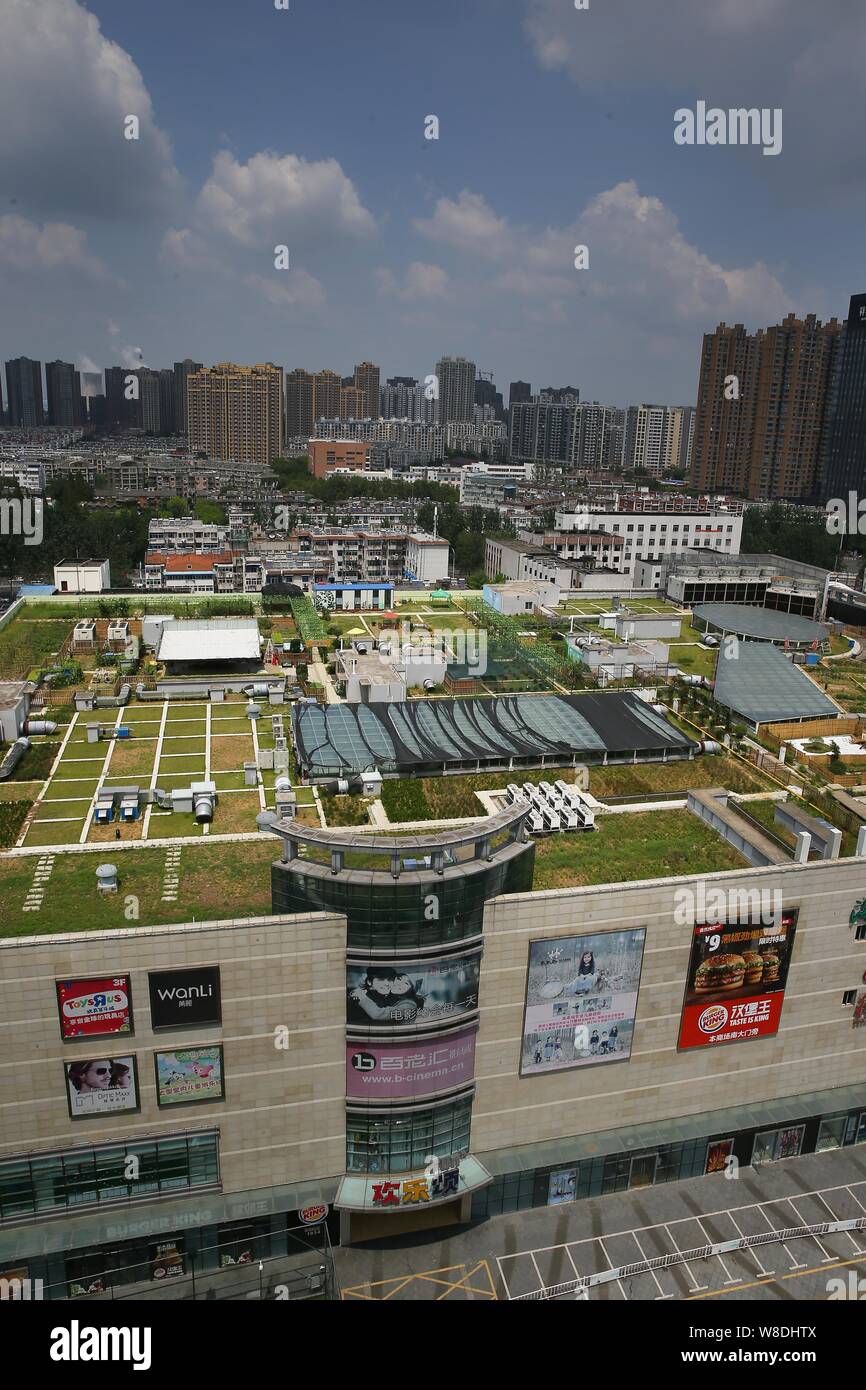 Aerial view of a garden on the rooftop of a shopping mall in Hefei city ...