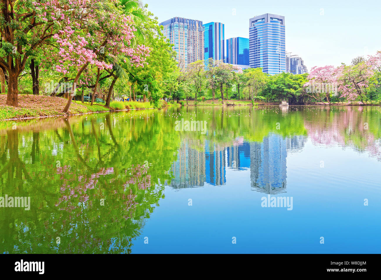 Beautiful garden in daytime outdoor nature background Stock Photo - Alamy
