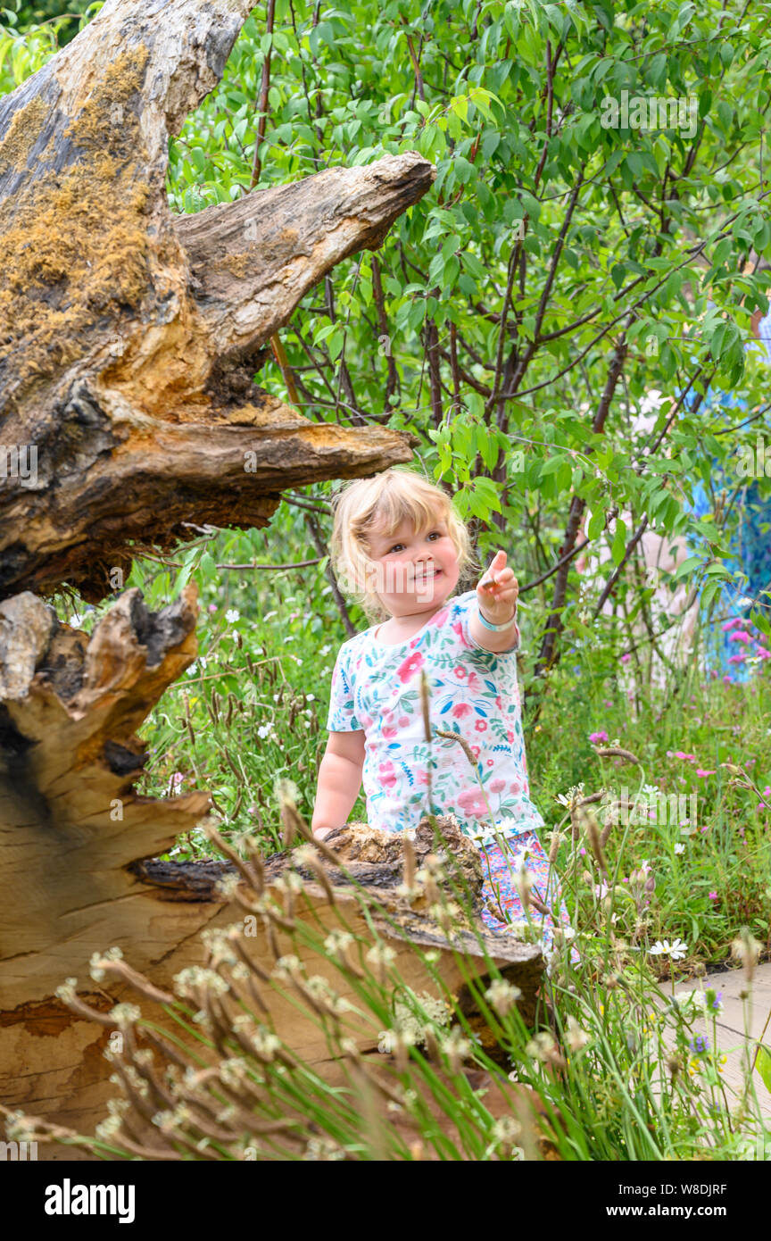 Back to Nature Garden by Catherine Duchess of Cambridge, Adam White ...