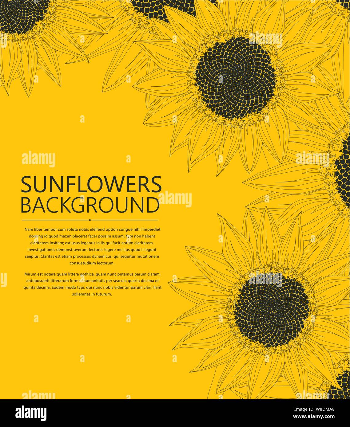 Sunflowers text card, vector illustration Stock Vector Image & Art - Alamy