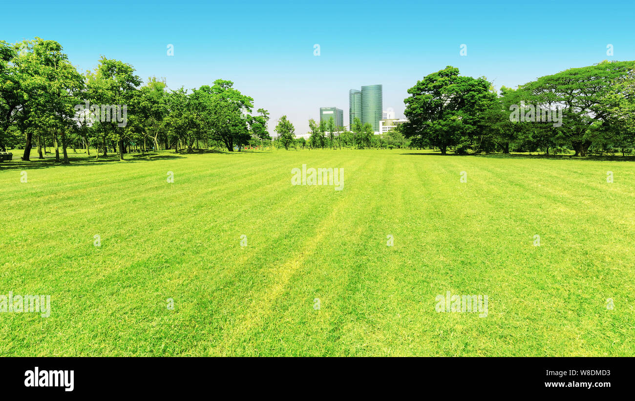 Beautiful garden in daytime outdoor nature background Stock Photo - Alamy