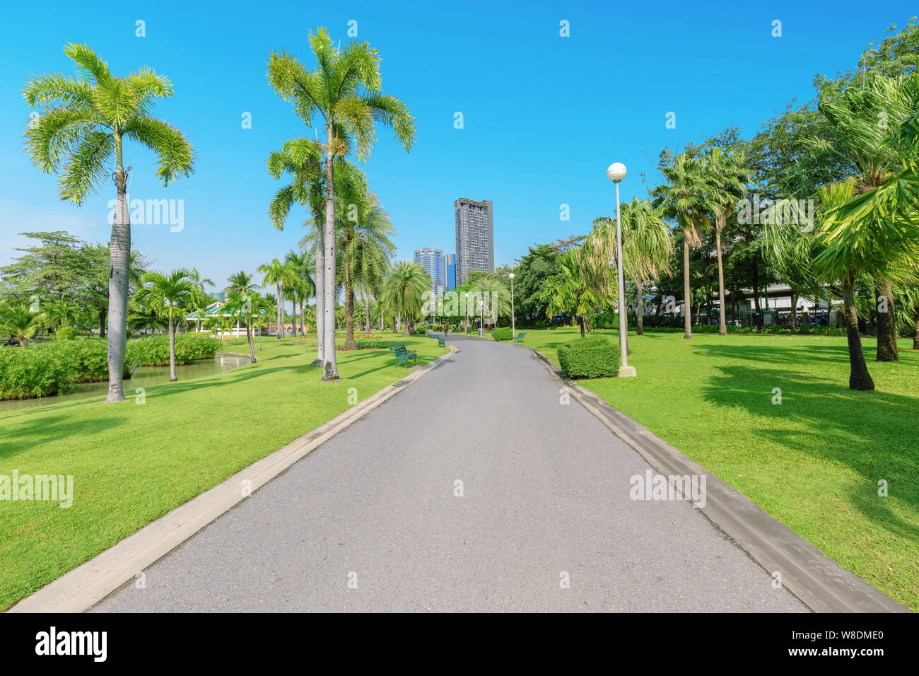 Pathway through green trees at public park Stock Photo - Alamy