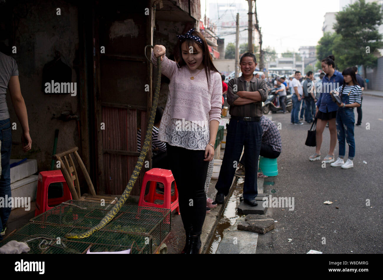 China snake food hi-res stock photography and images - Alamy