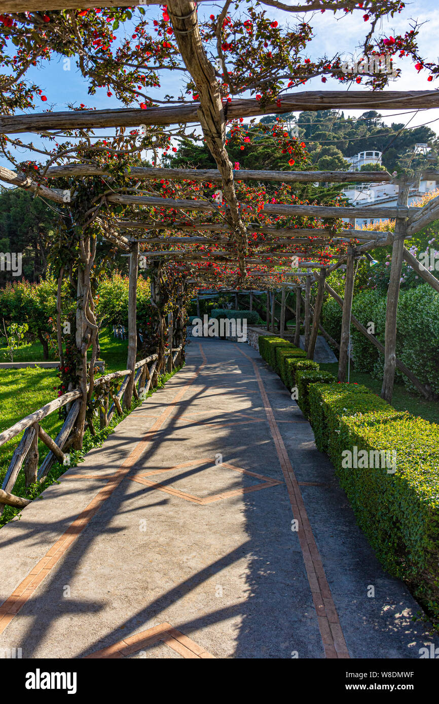 Italy, Capri, plants and flowers in the typical streets Stock Photo - Alamy