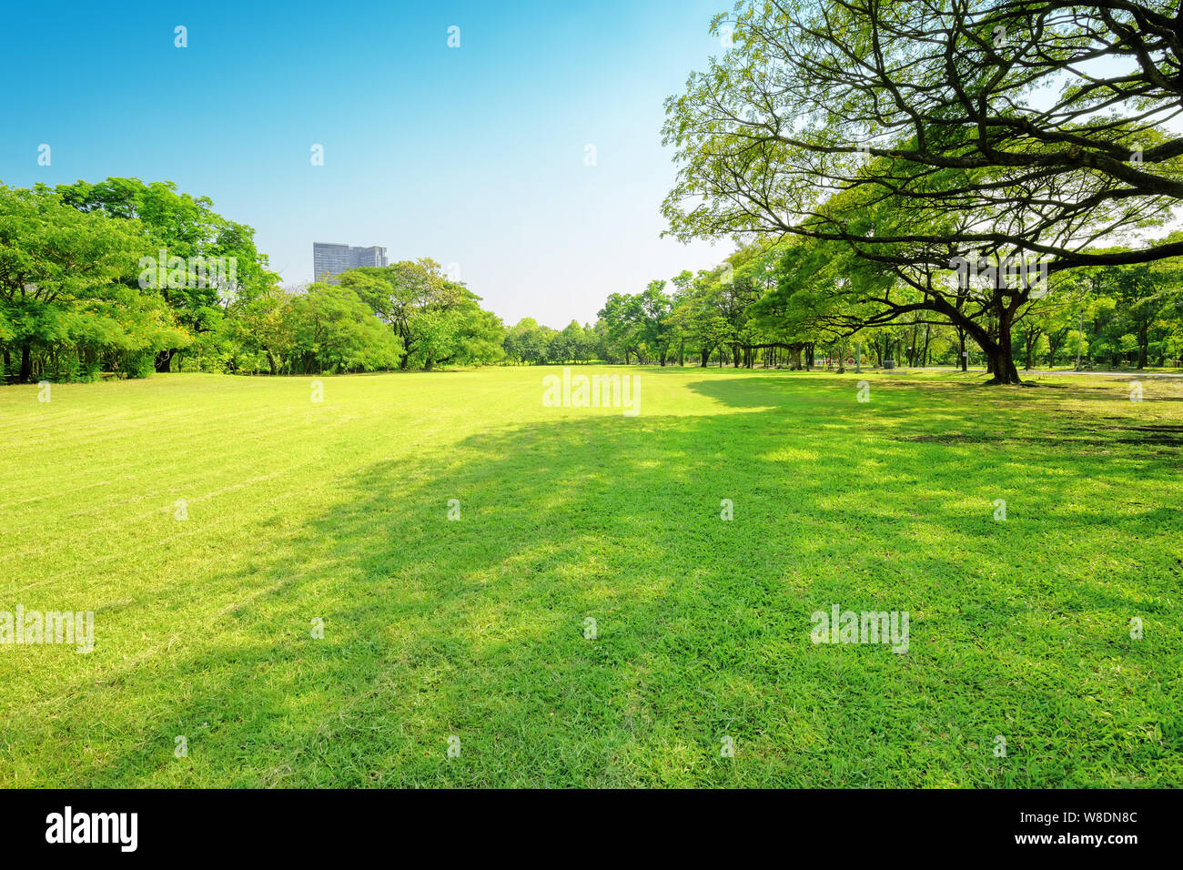 Beautiful garden in daytime outdoor nature background Stock Photo - Alamy