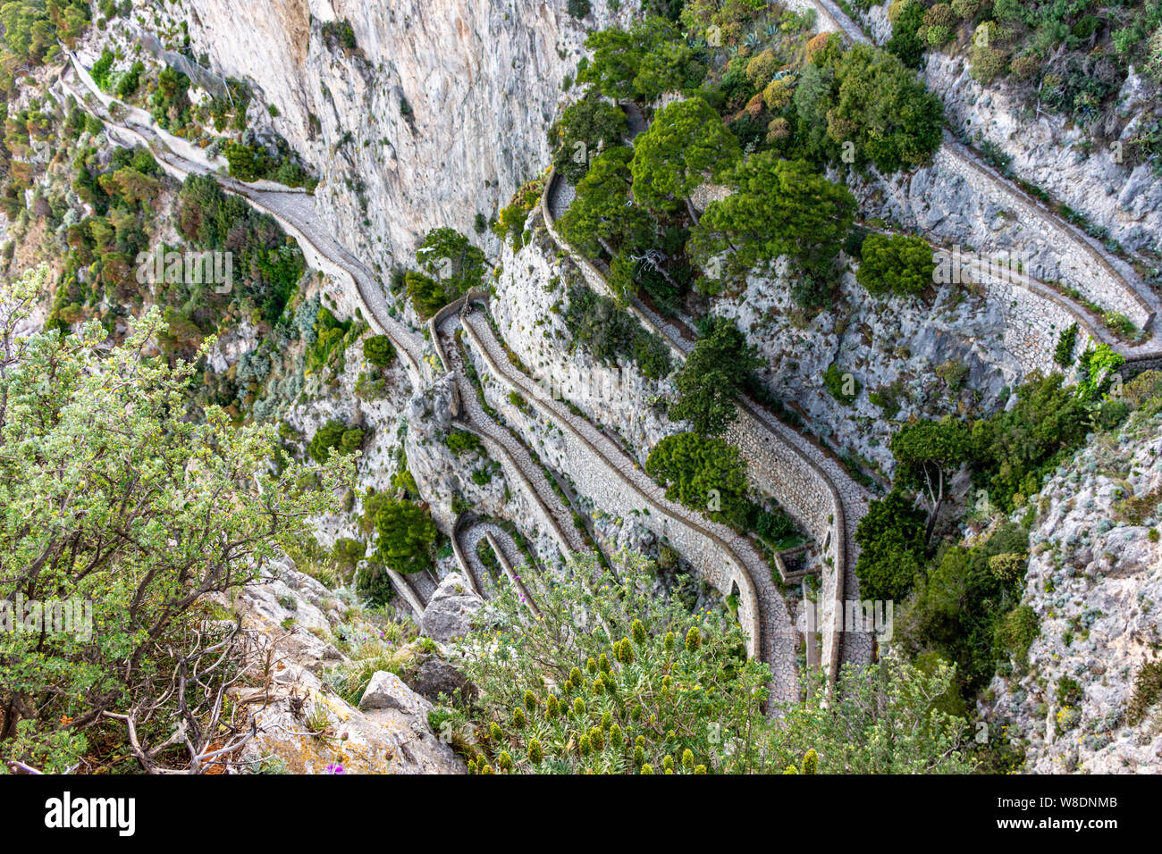 Italy, Capri, view of the old Krupp road going to Marina Piccola Stock ...