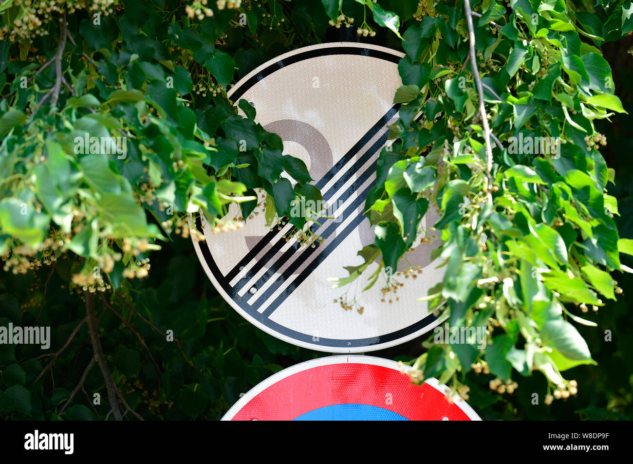 Leipzig, Germany. 26th June, 2019. A traffic sign partially covered by ...