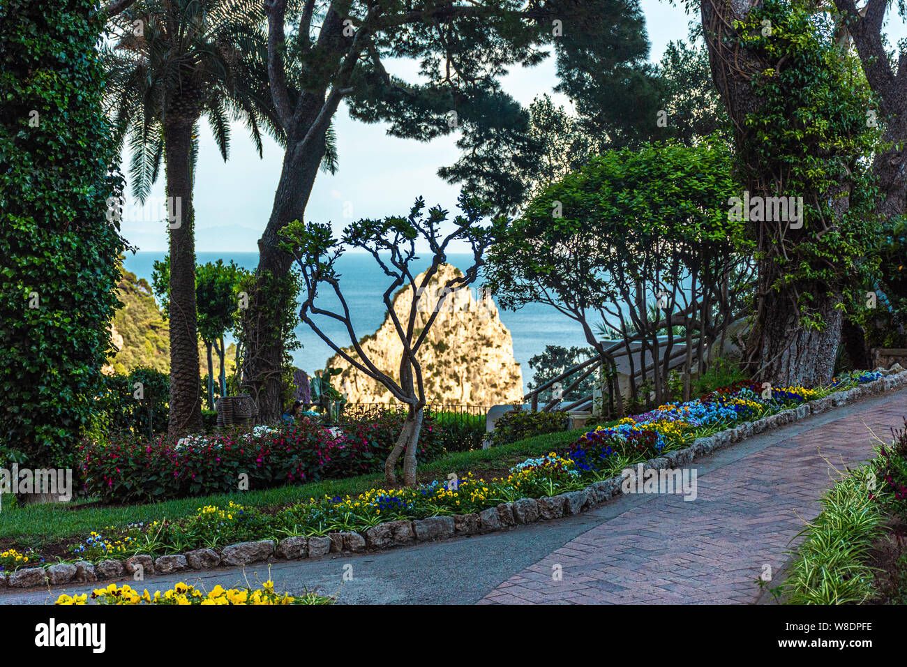 Italy, Capri, avenue in the gardens of Augustus Stock Photo - Alamy