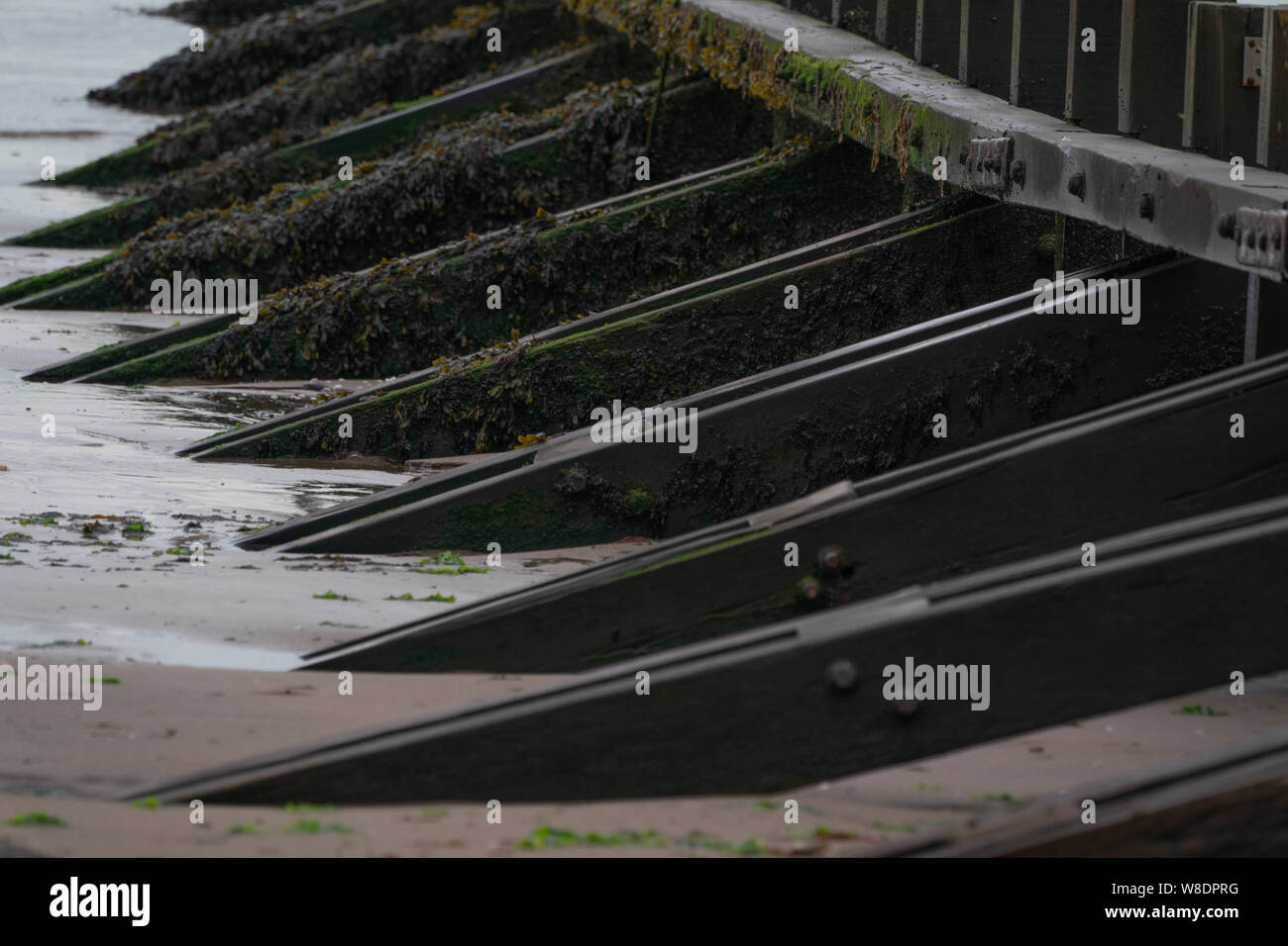 Portobello Beach Edinburgh Scotland Stock Photo - Alamy