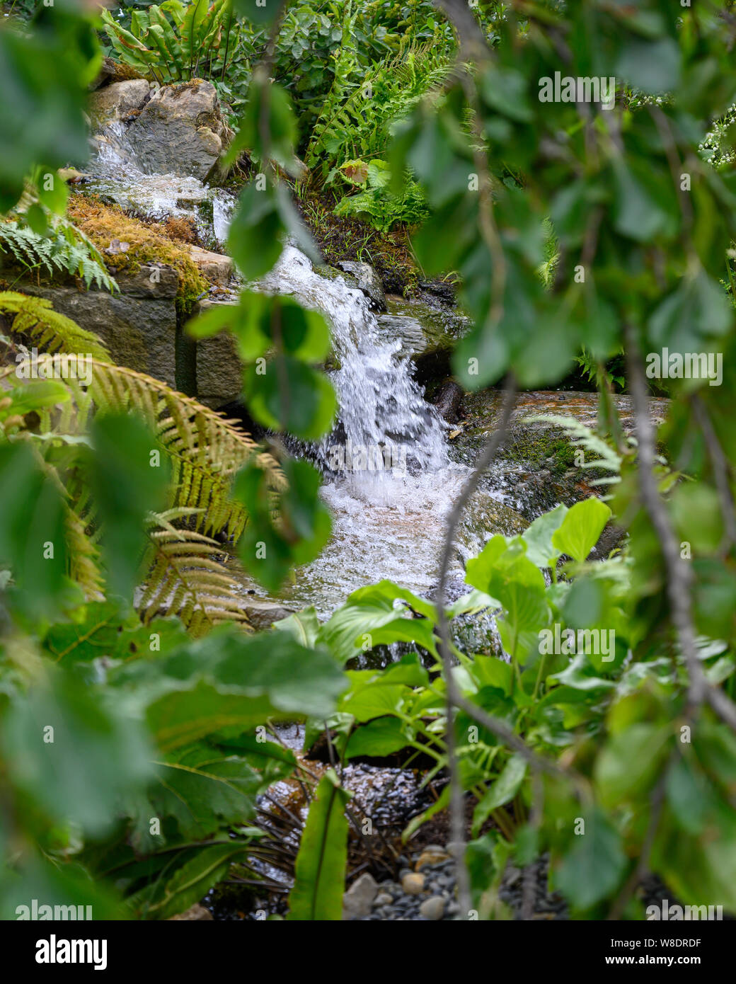 Back to Nature Garden by Catherine Duchess of Cambridge, Adam White ...