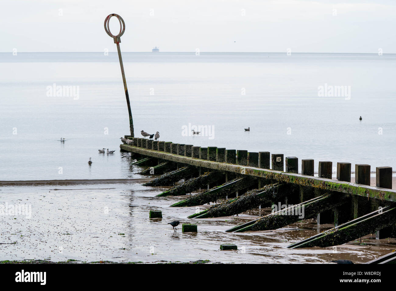 Portobello Beach Edinburgh Scotland Stock Photo - Alamy