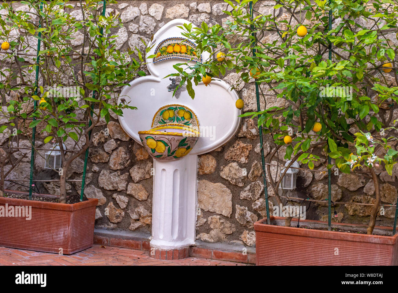 Italy, Capri, plants and flowers in the typical streets Stock Photo - Alamy