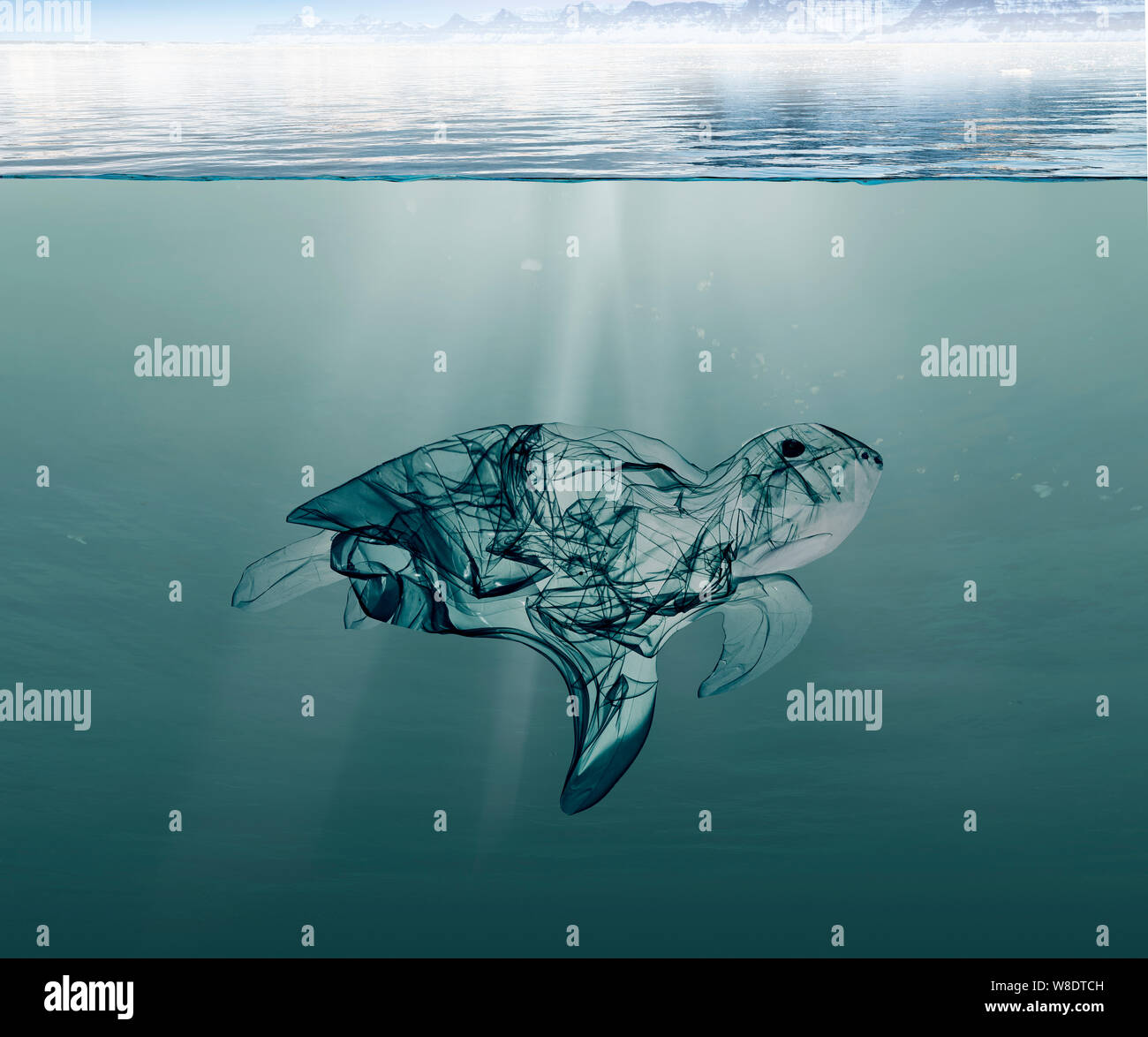 Turtle plastic pollution hi-res stock photography and images - Alamy