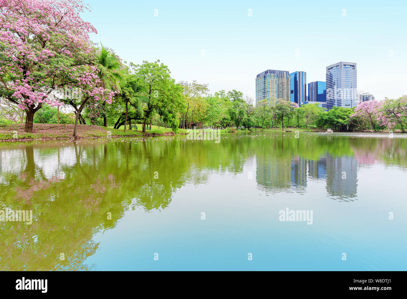 Beautiful garden in daytime outdoor nature background Stock Photo - Alamy