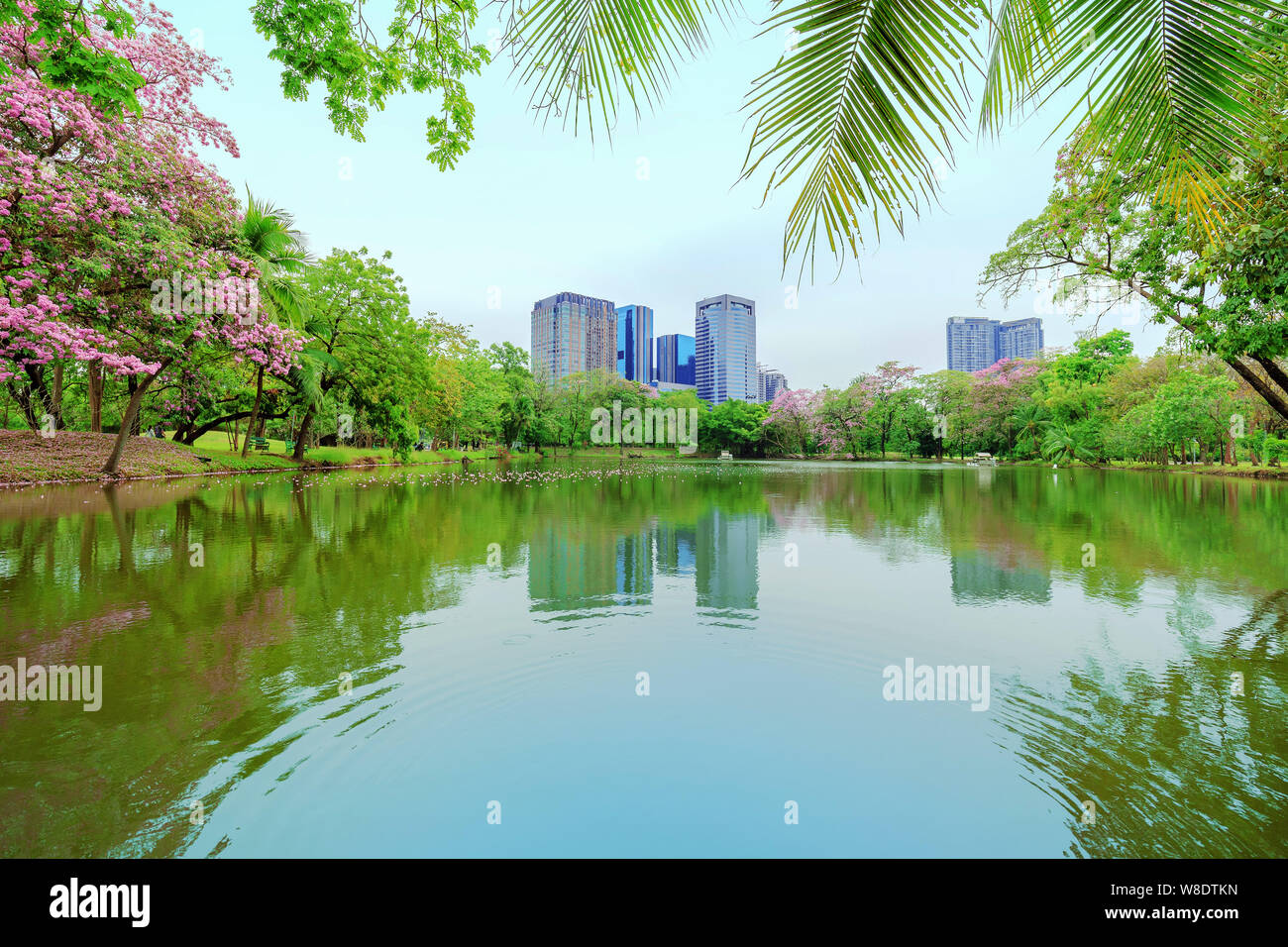 Beautiful garden in daytime outdoor nature background Stock Photo - Alamy