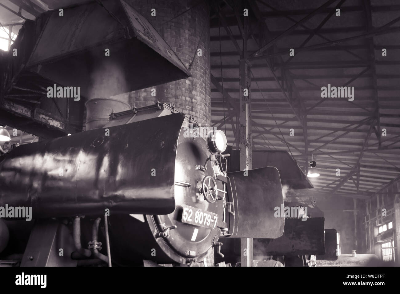 Old steam locomotives in a roundhouse in Germany Stock Photo - Alamy