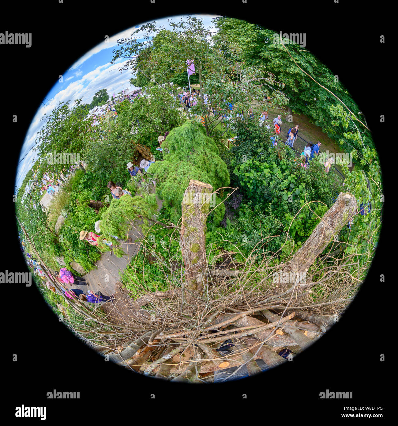 Back to Nature Garden by Catherine Duchess of Cambridge, Adam White ...