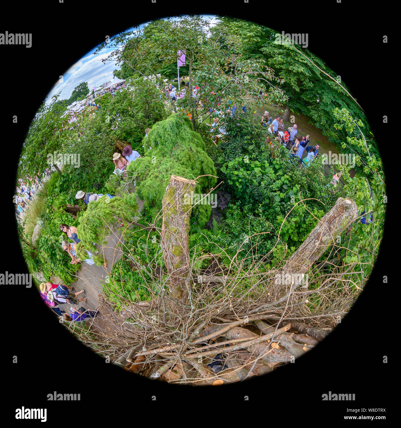 Back to Nature Garden by Catherine Duchess of Cambridge, Adam White ...