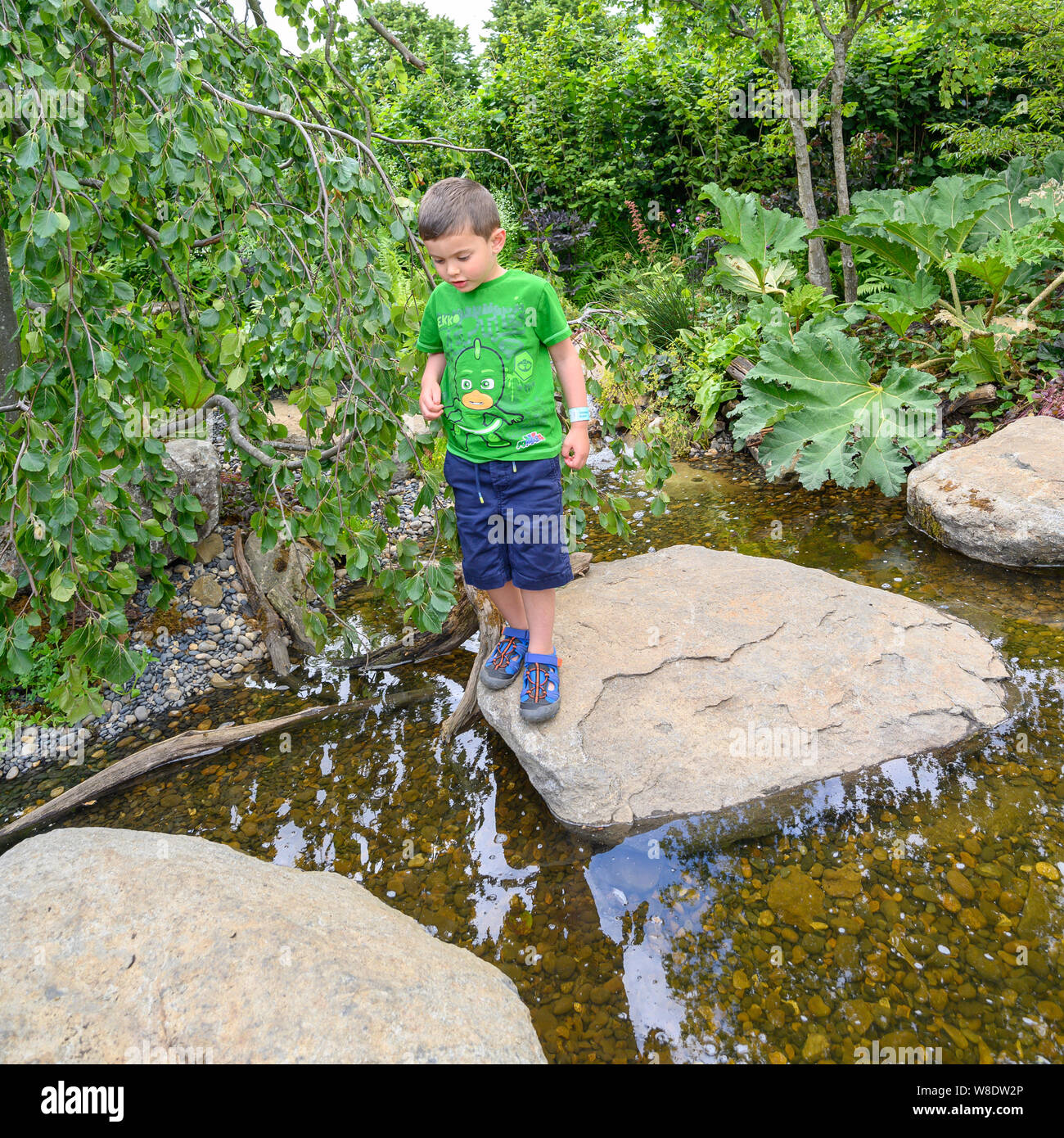 Back to Nature Garden by Catherine Duchess of Cambridge, Adam White ...