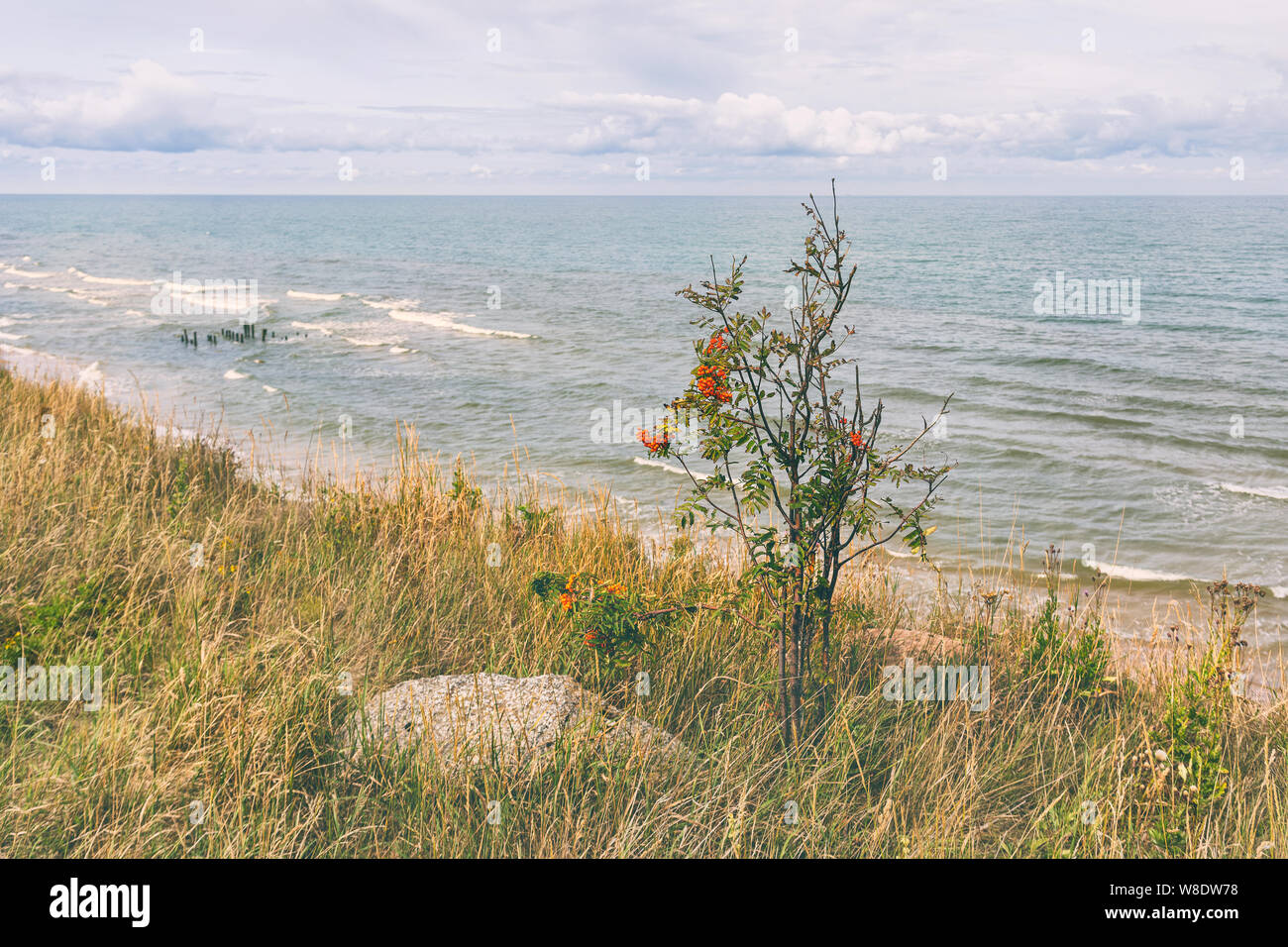 Kurzeme Latvia High Resolution Stock Photography and Images - Alamy
