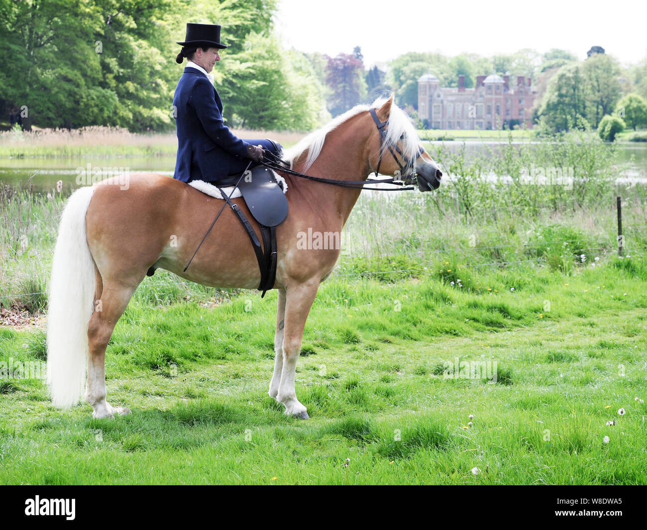 Victorian lady riding side saddle hi-res stock photography and images ...