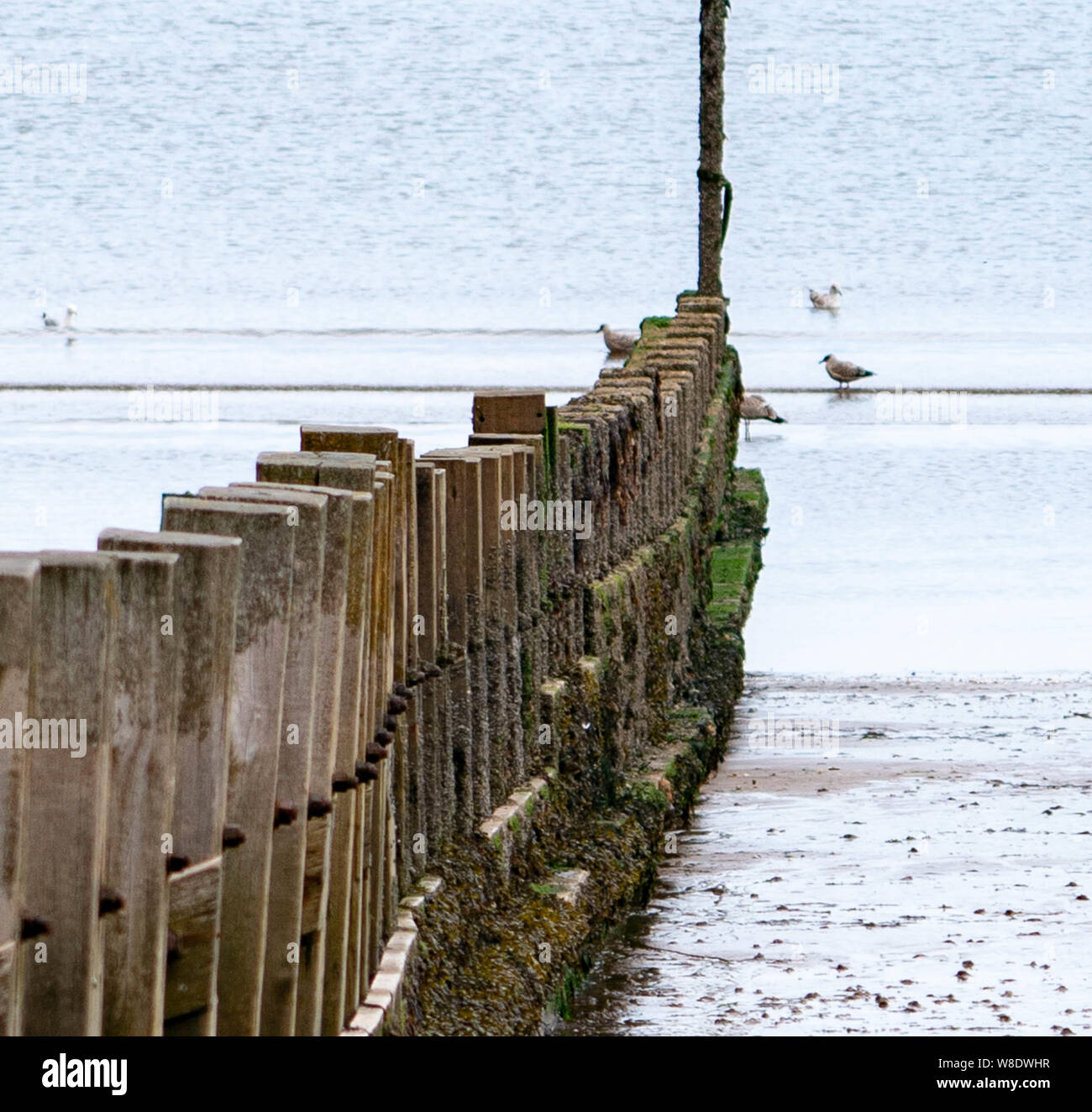 Portobello Beach Edinburgh Scotland Stock Photo - Alamy