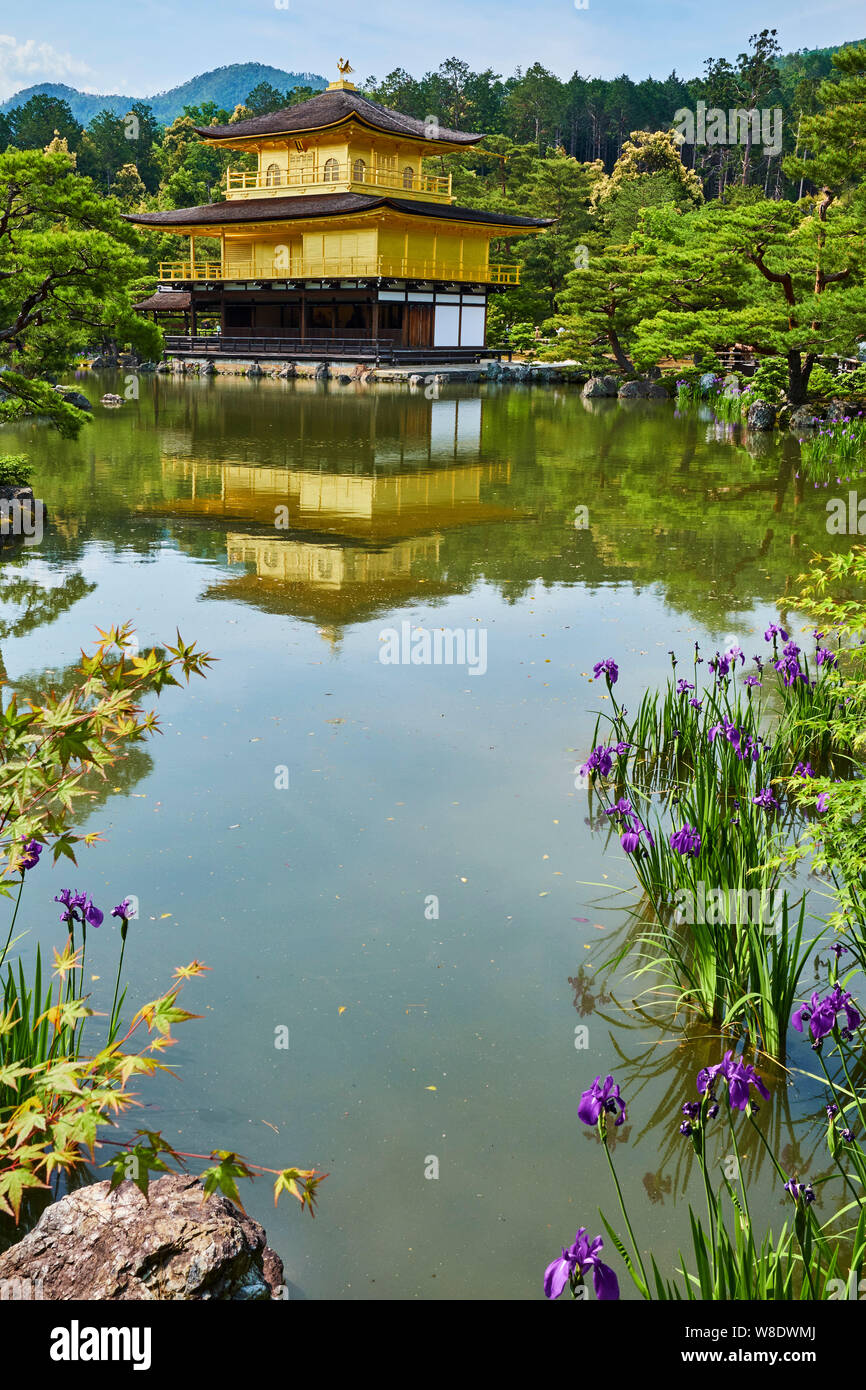 Japan, Honshu island, Kansai region, Kyoto, Kinkaku-ji temple or golden ...